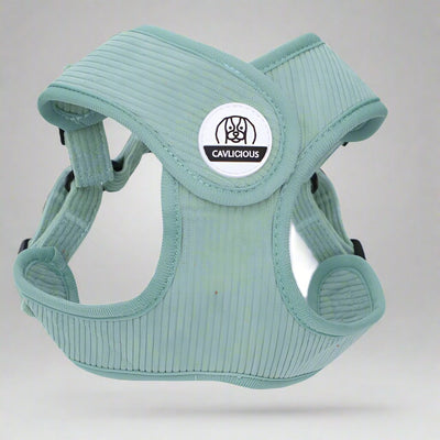 step in dog harness X-tra dog harness ergonomic harness – Cavlicious